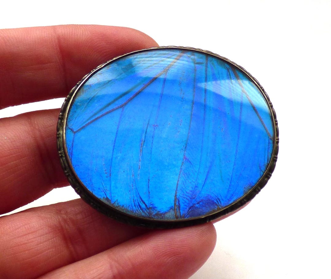 Antique 1920's Art Deco Sterling Silver Morpho Butterfly Wing Brooch ...
