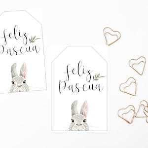Feliz Pascua Easter Printable Tag Spanish Gift Tag INSTANT DOWNLOAD - Etsy