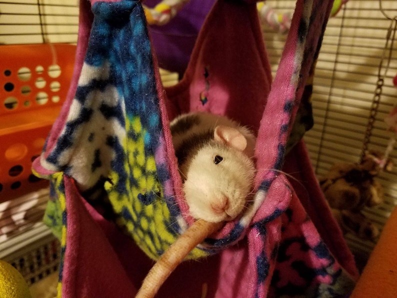 Patchwork Triple Hammock for Rats / Ferrets / Sugar Gliders ...