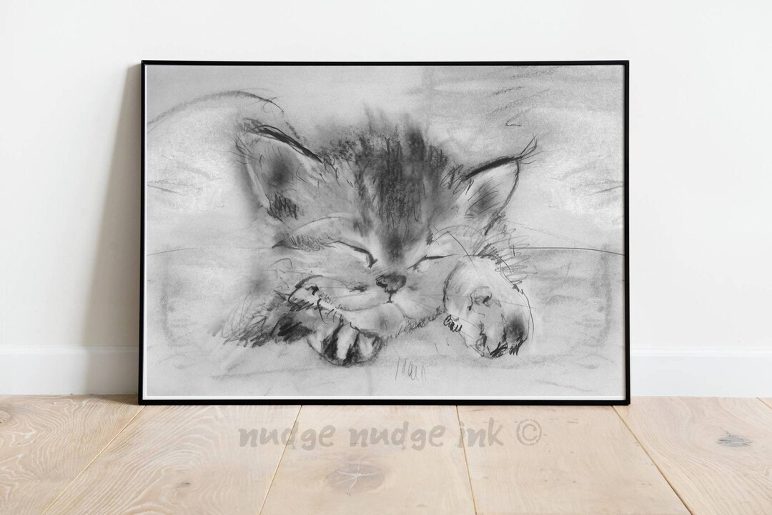 Kitten Art Print-cat Pencil Drawing cat Fine Art Pencil Sketch-tabby ...