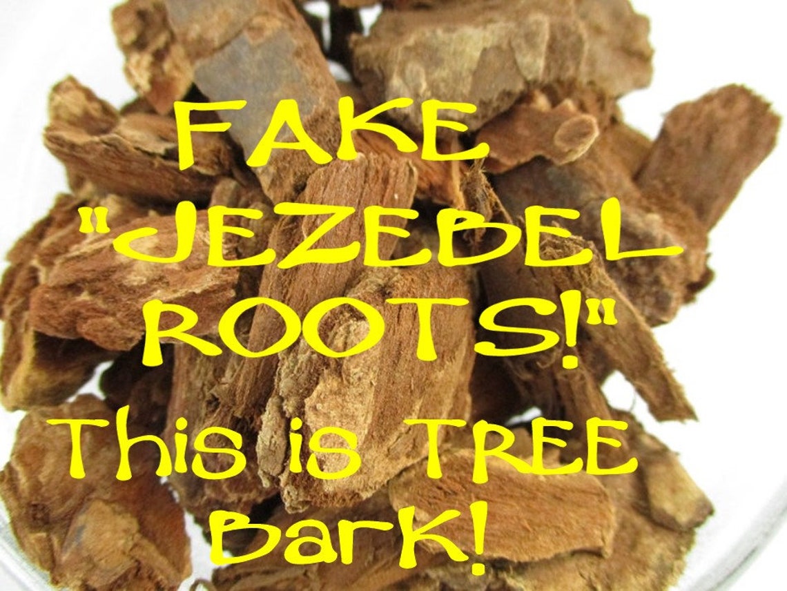 100% Authentic Genuine Southern Louisiana Whole Jezebel Root - Etsy
