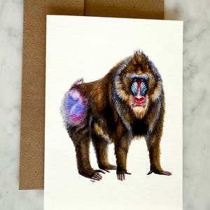 Mandrill Card – Frameable Watercolor Fine Art Card - Etsy