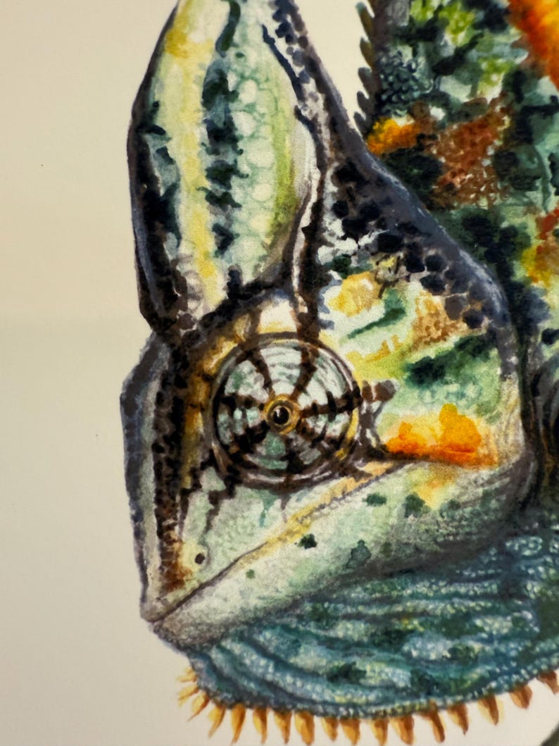 Chameleon Card- Frameable Watercolor Fine Art Card - Etsy