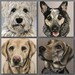 Pet Portrait Custom Drawing Pet Loss Gift Dog Portrait Pet Illustration ...