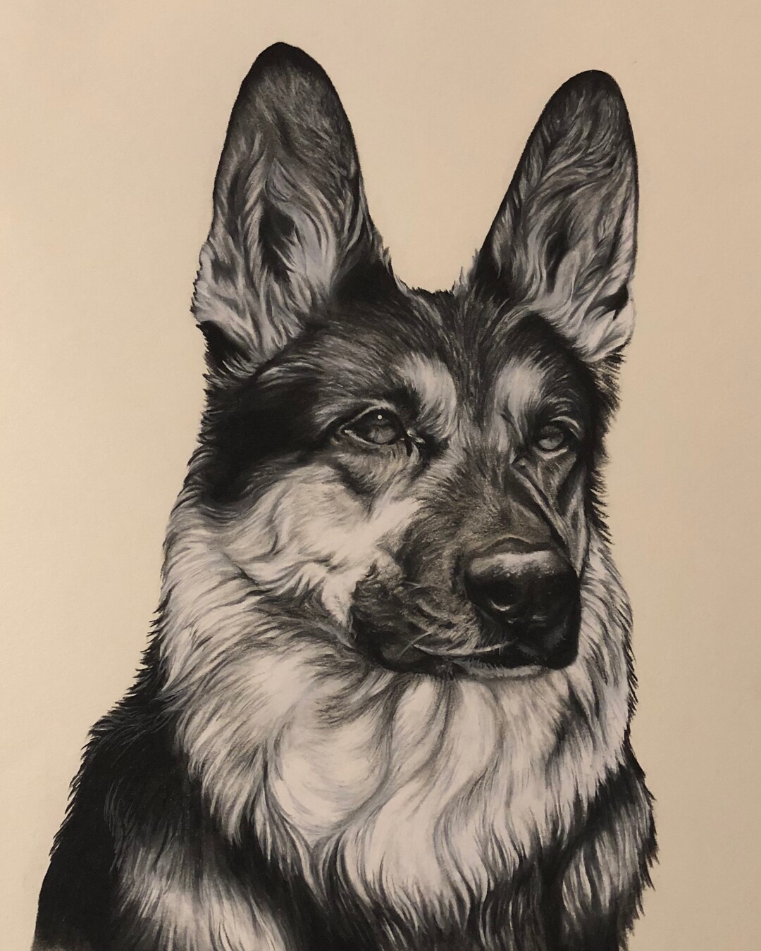 Custom Pet Portrait: Hand-drawn Charcoal Dog Art From Photo - Etsy