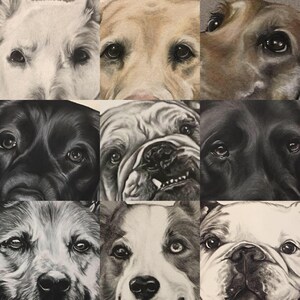 Pet Portrait Custom Drawing Pet Loss Gift Dog Portrait Pet Illustration ...