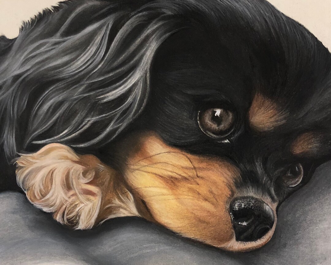 Pet Portrait Custom Drawing Pet Loss Gift Dog Portrait Pet Illustration ...