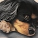 Pet Portrait Custom Drawing Pet Loss Gift Dog Portrait Pet Illustration ...