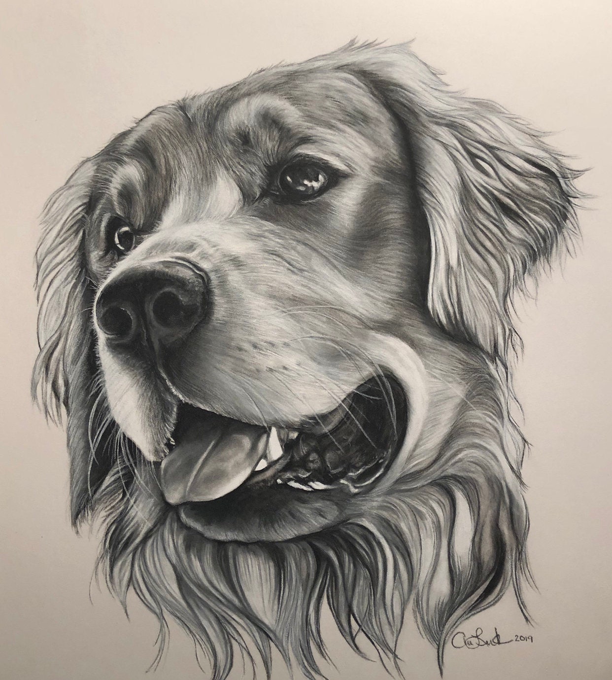 Custom Pet Portrait Realistic Dog Drawing Golden Retriever Etsy
