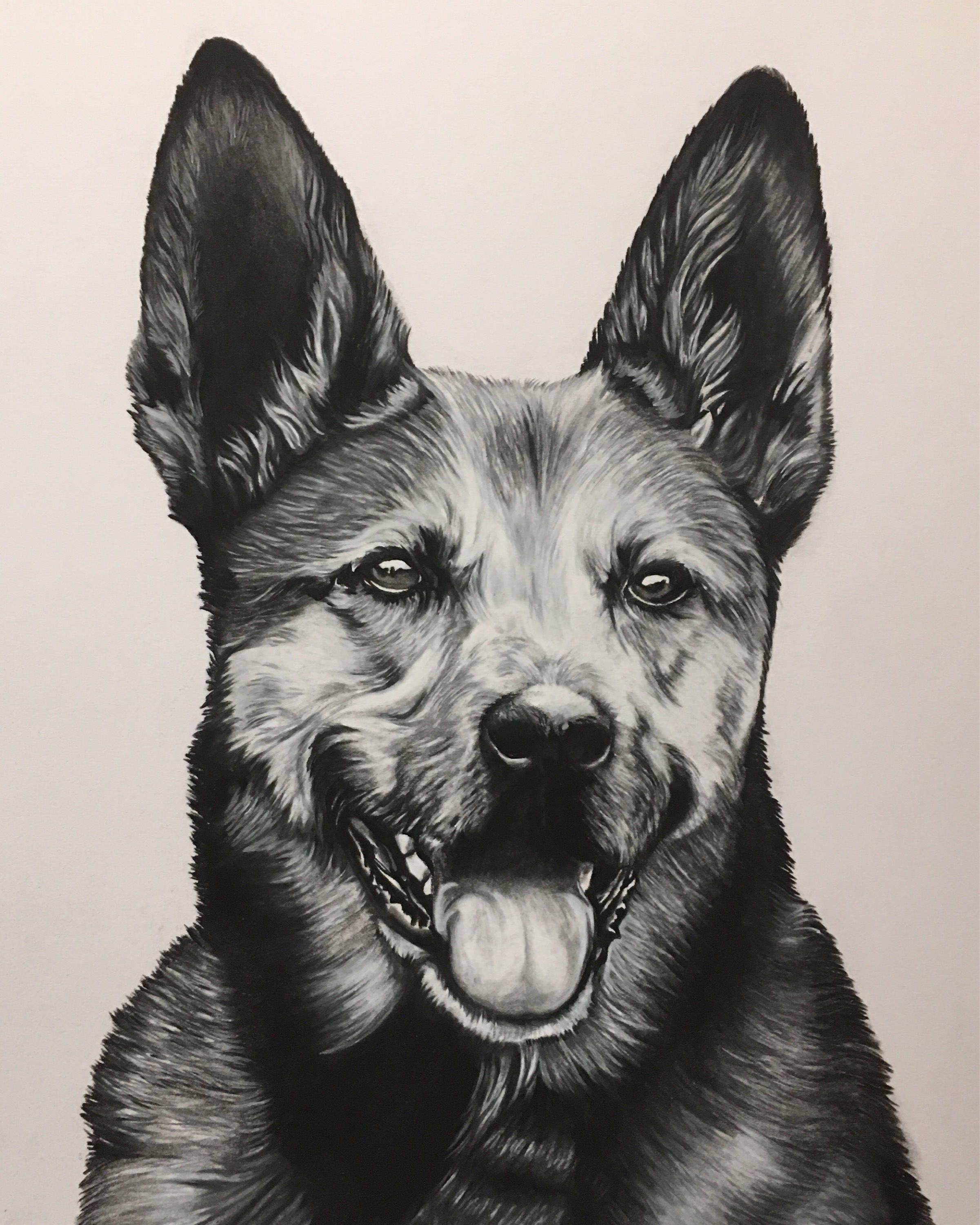 Art & Collectibles Drawing & Illustration sample shown Charcoal Dog ...