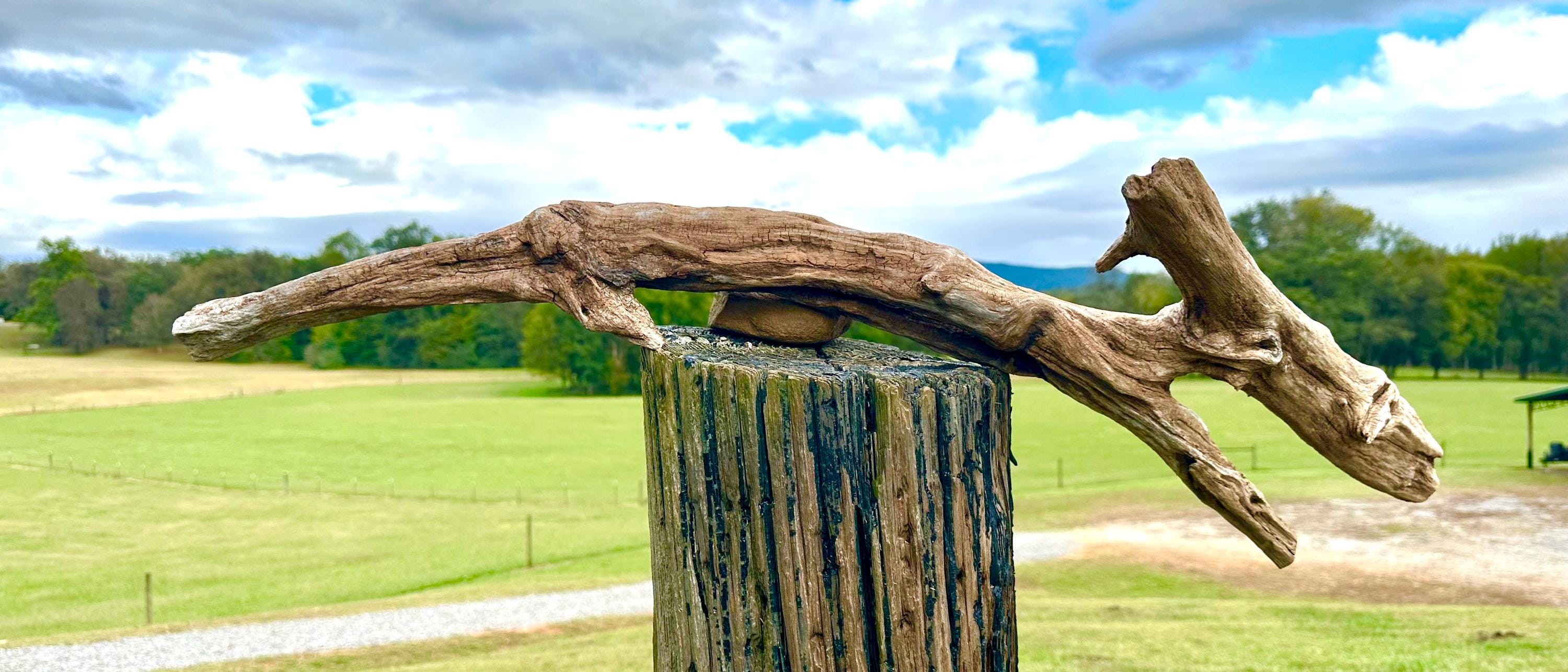 Twisted Limbs Driftwood Piece, Coastal Garden Decor, Aquarium, Reptile ...