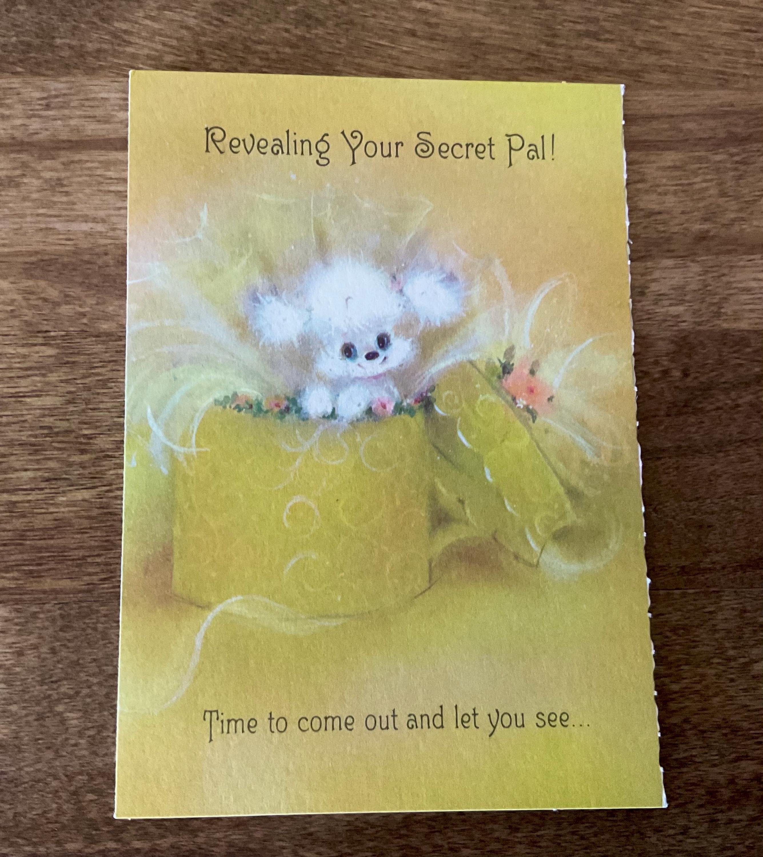 Vintage ( Unused ) Friendship Secret Pal Greeting Card, Poodle in Hat ...