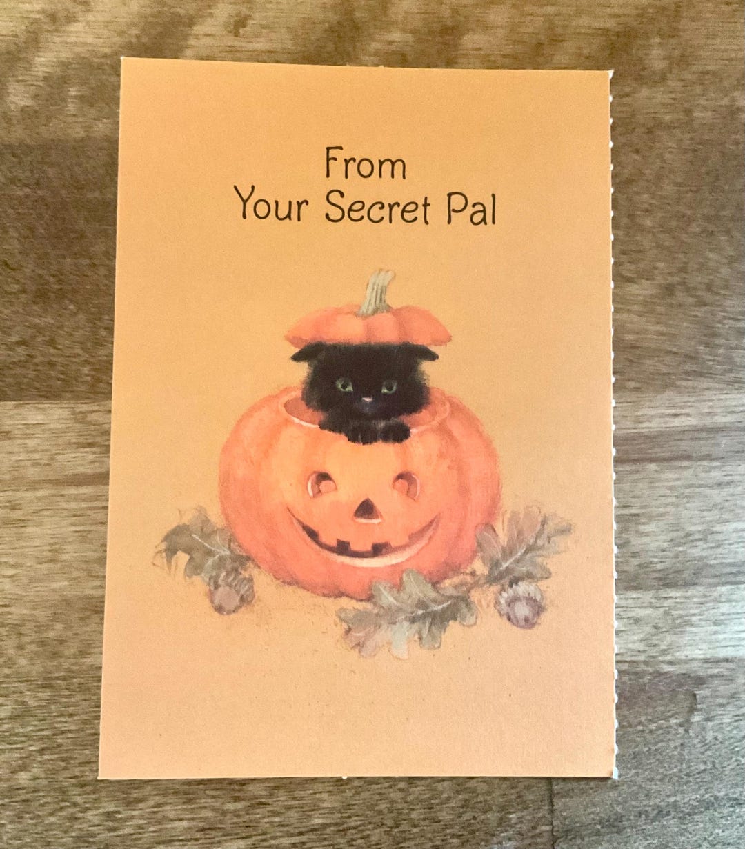Vintage ( Unused ) Secret Pal Halloween Greeting Card, Black Kitty in a ...