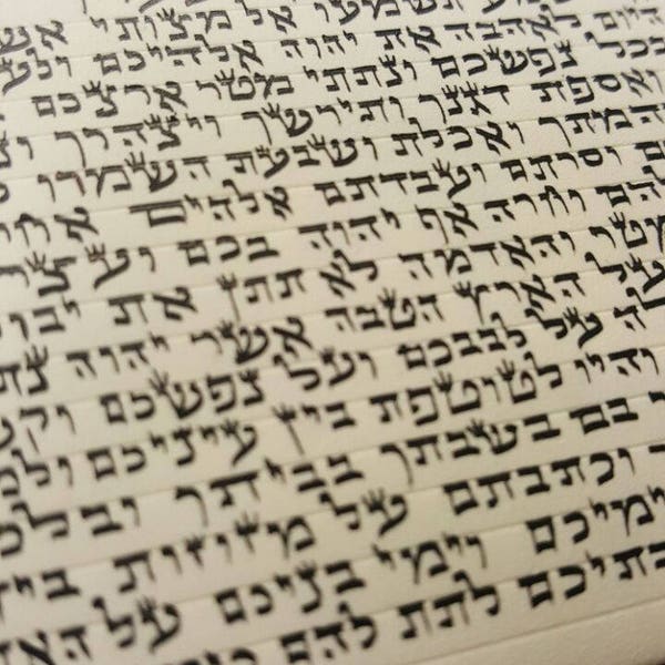 Parchment Scroll - Etsy