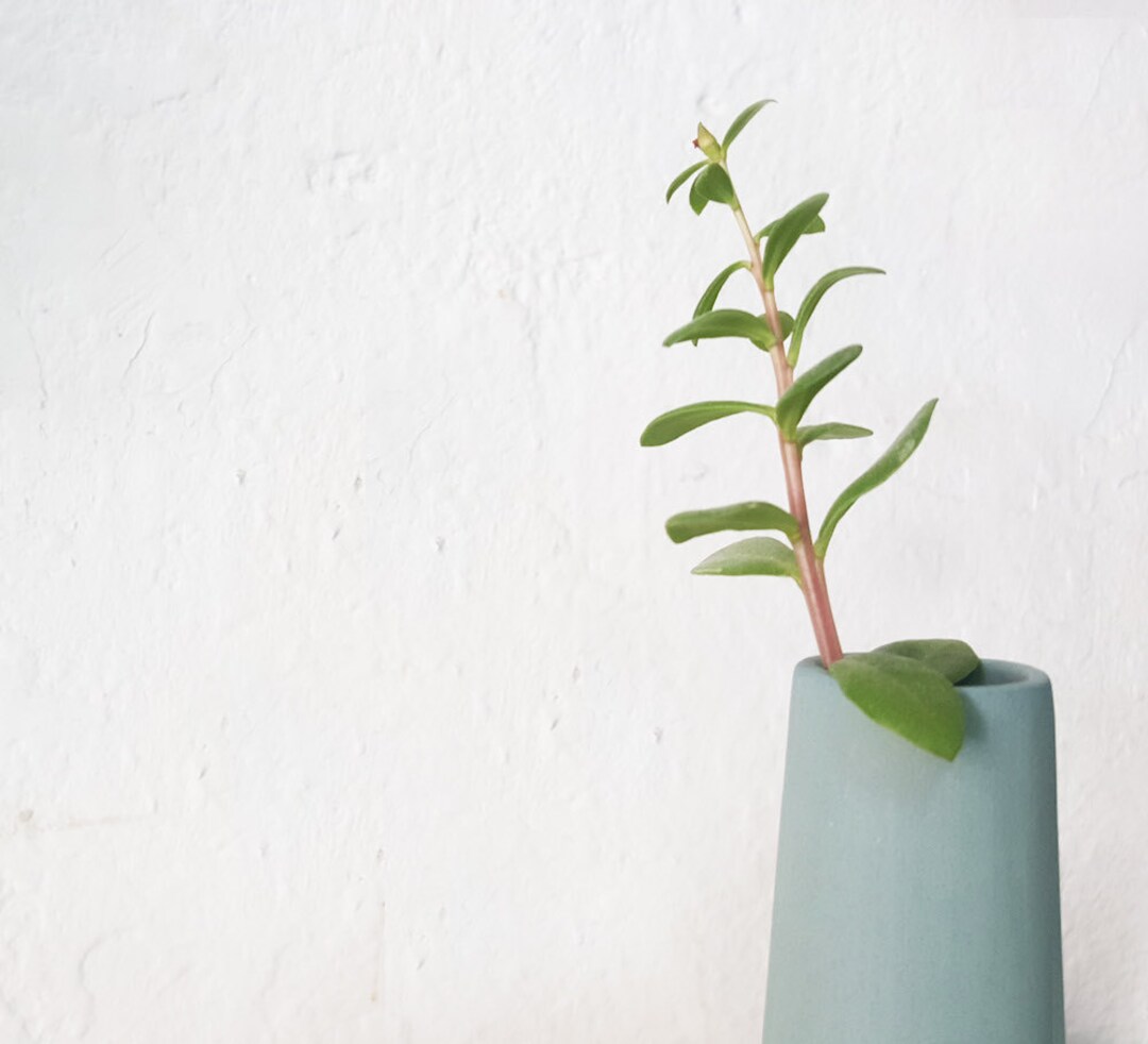 Single Flower Vase, Ceramic Bud Vase, Scandinavian Modern Home Decor ...