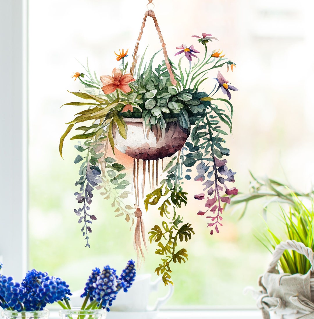 Window Picture Window Sticker Window Sticker Hanging Plants Flowers in ...