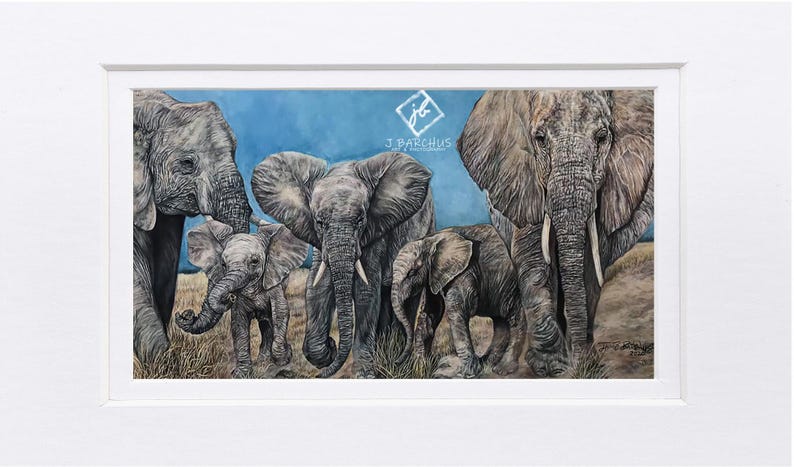 Matted Print - "elephant Parade" 2020 - Etsy