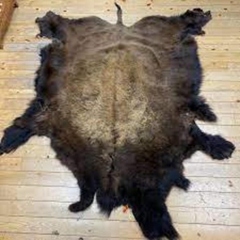 Buffalo Hives Tanned Hides Robes 28 Square Feet - Etsy