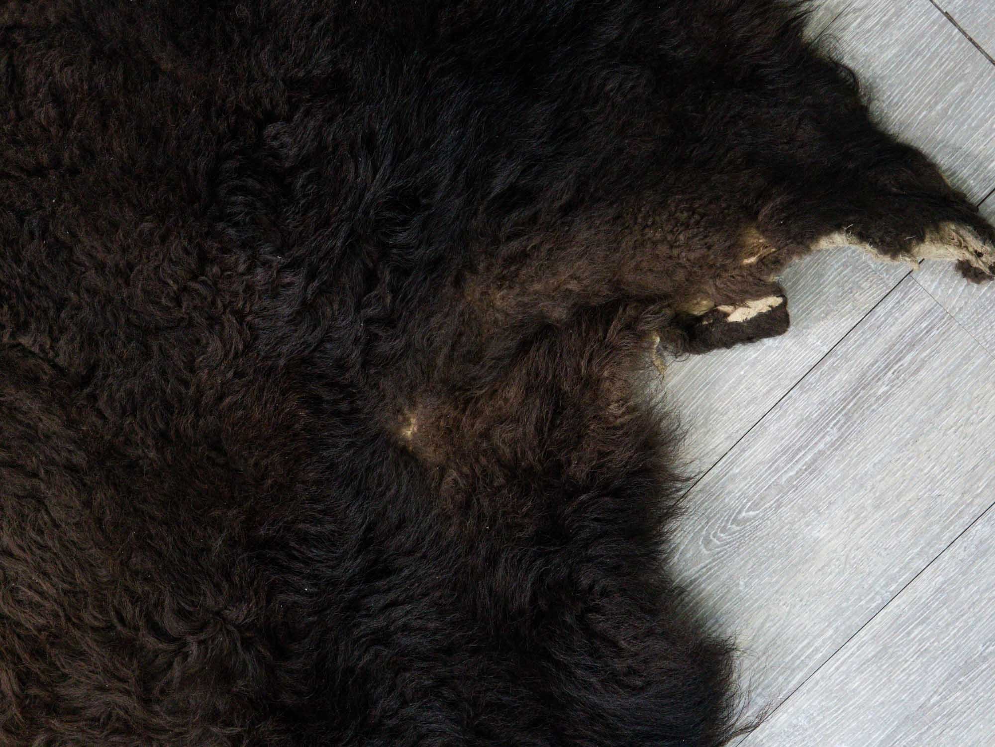 Tanned Buffalo Hide / Bison Skin - Etsy