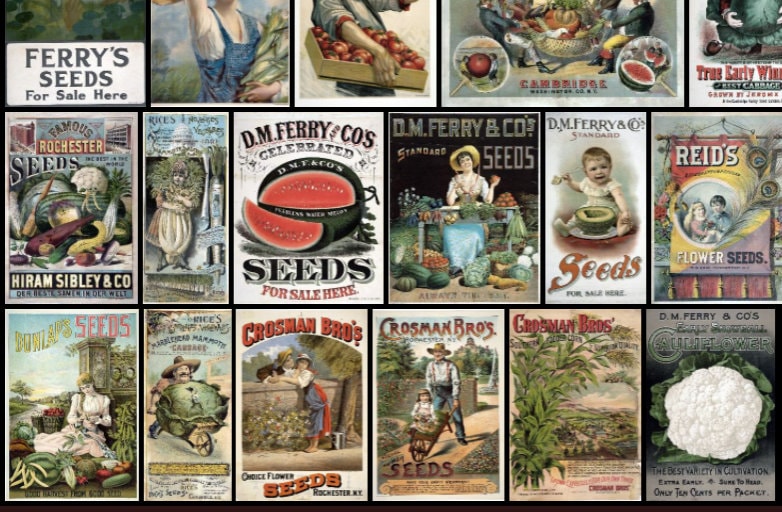 Gorgeous Vintage Seed Packet Prints Ads Sign Catalog Flowers Vegetables ...