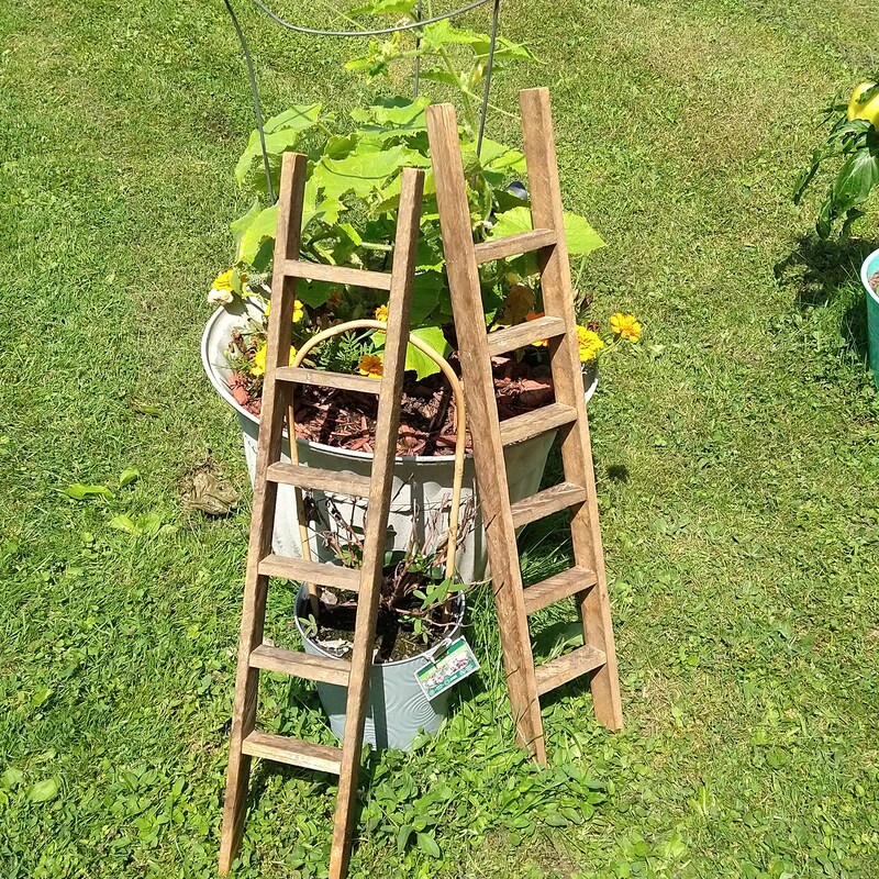 Primitive Ladder - Etsy