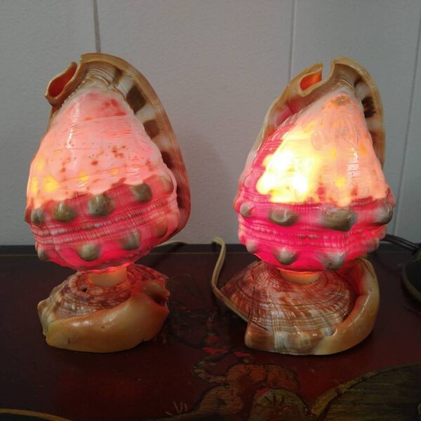 Sea Shell Lamp - Etsy