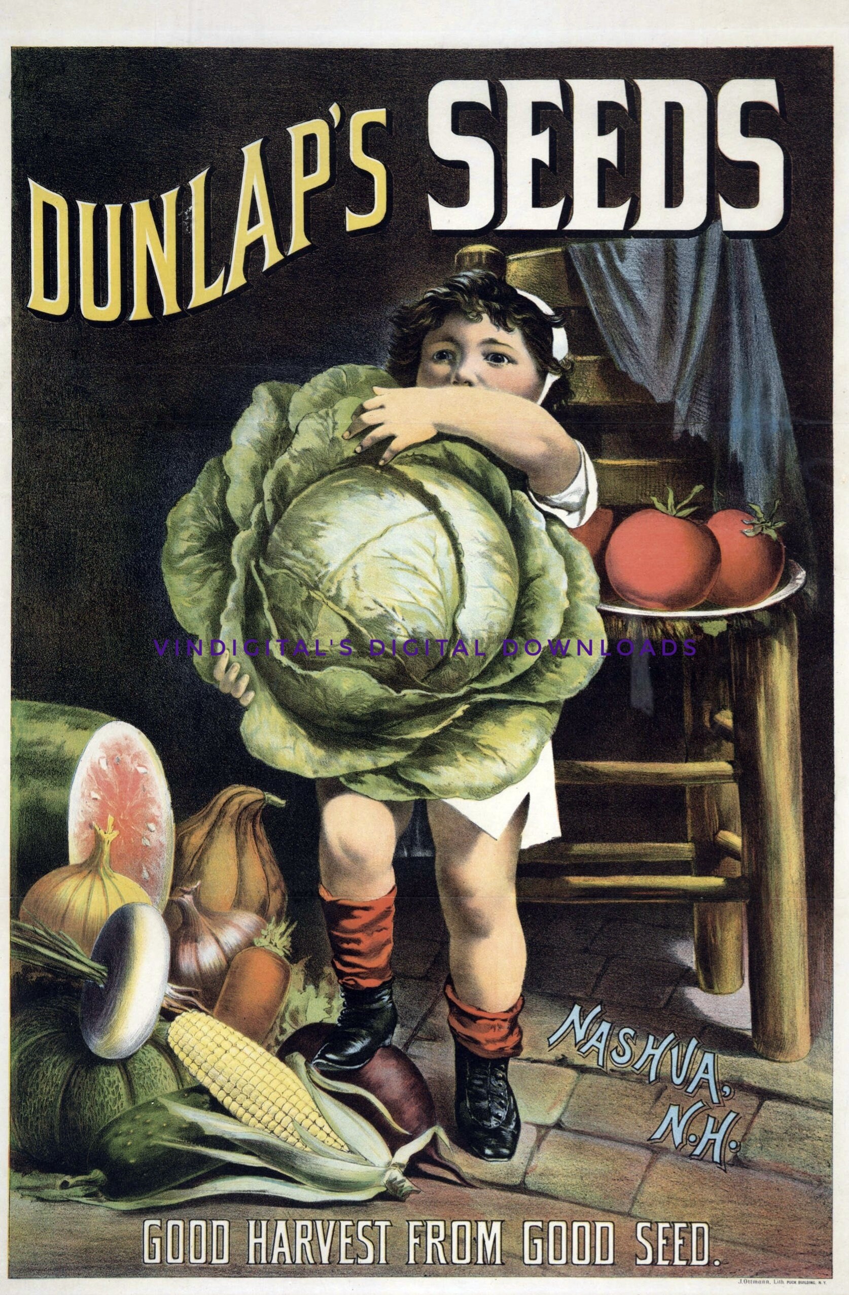 Gorgeous Vintage Seed Packet Prints Ads Sign Catalog Flowers Vegetables ...