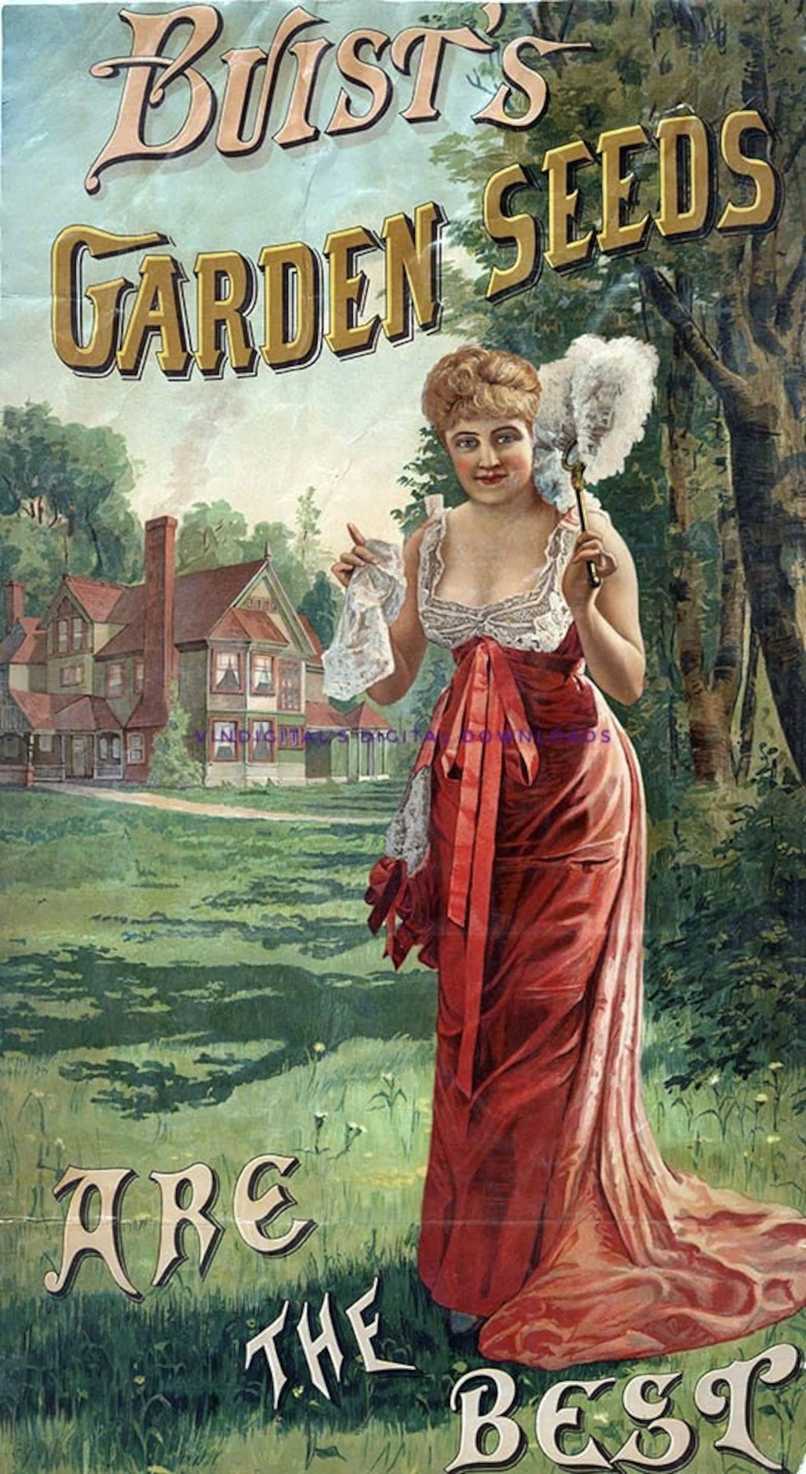 Gorgeous Vintage Seed Packet Prints Ads Sign Catalog Flowers Vegetables ...