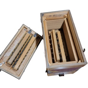 Accordion Vintage Squeeze Box Antique Supertone Accordeon Made in ...