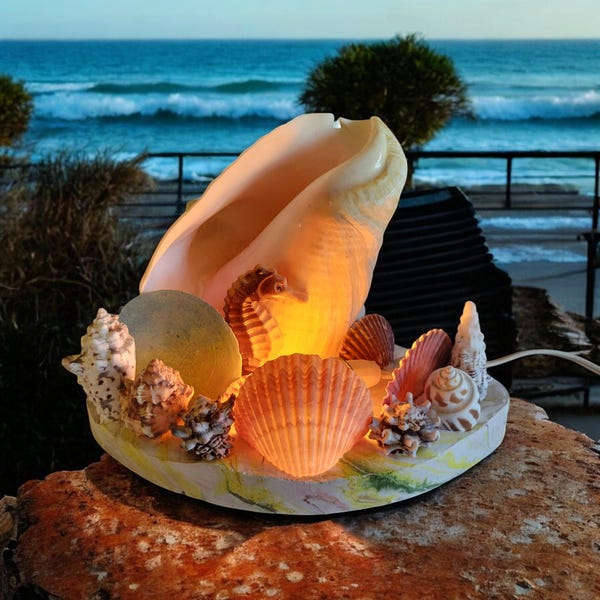 Conch Shell Lamp - Etsy