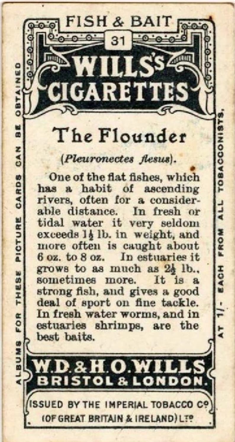 50 Vintage Fish & Bait Trade Cards Printable Digital Download - Etsy