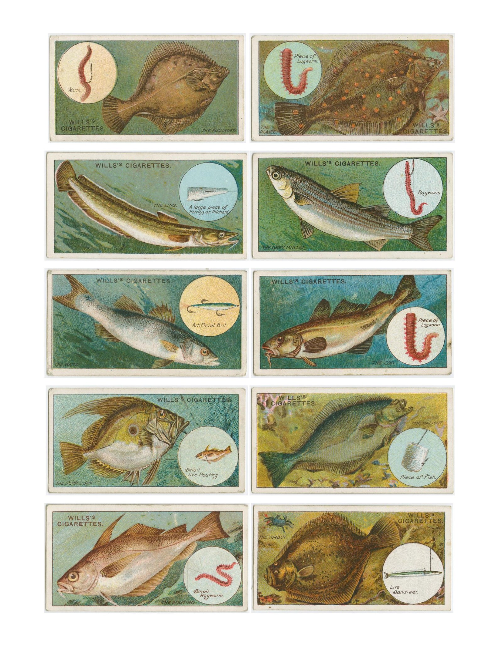 50 Vintage Fish & Bait Trade Cards Printable Digital Download - Etsy