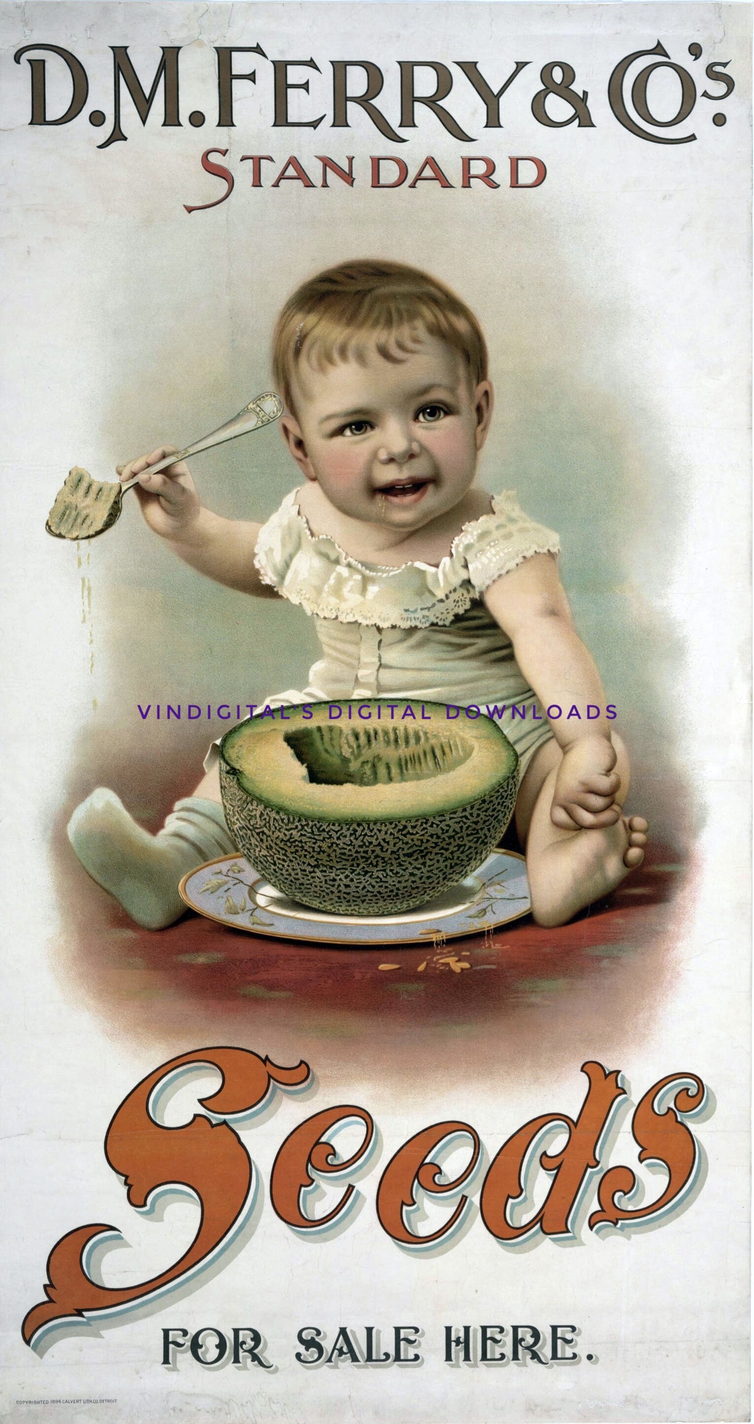 Gorgeous Vintage Seed Packet Prints Ads Sign Catalog Flowers Vegetables ...