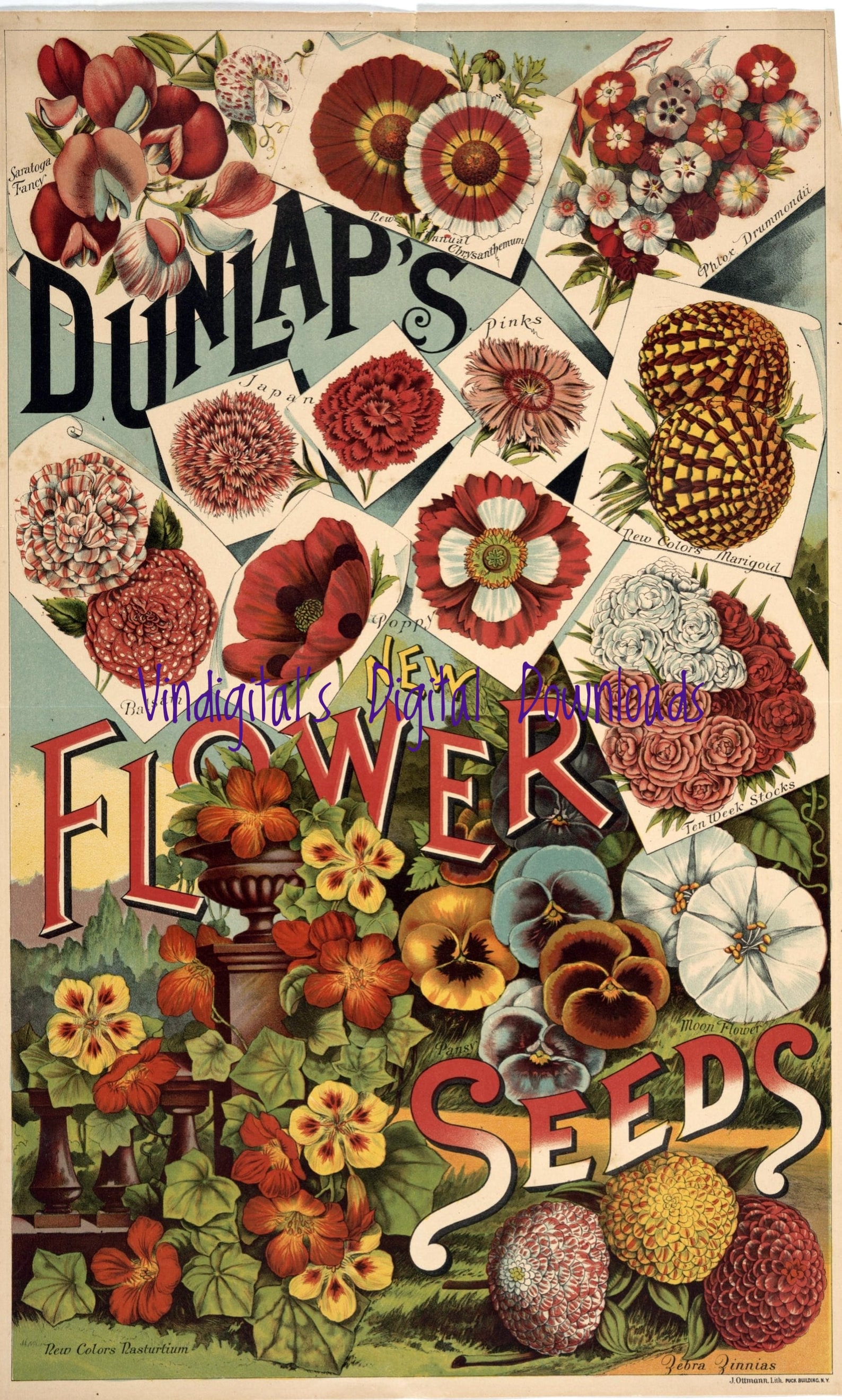 Gorgeous Vintage Seed Packet Prints Ads Sign Catalog Flowers Vegetables ...