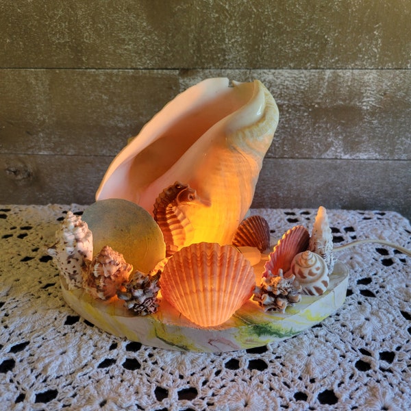 Conch Shell Lamp - Etsy