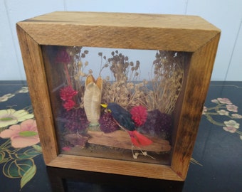 Bird Shadow Box | Etsy