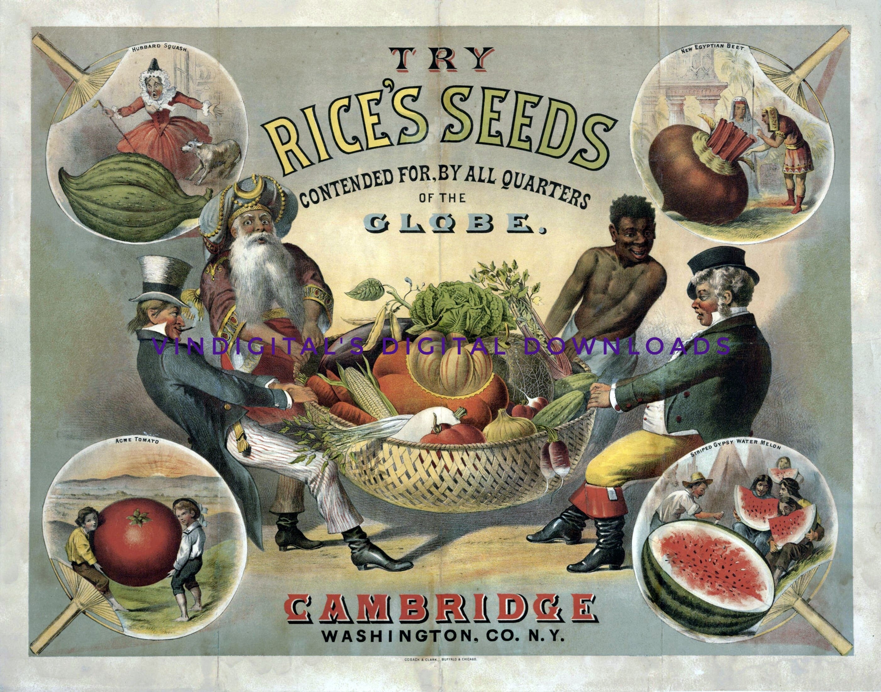 Gorgeous Vintage Seed Packet Prints Ads Sign Catalog Flowers Vegetables ...