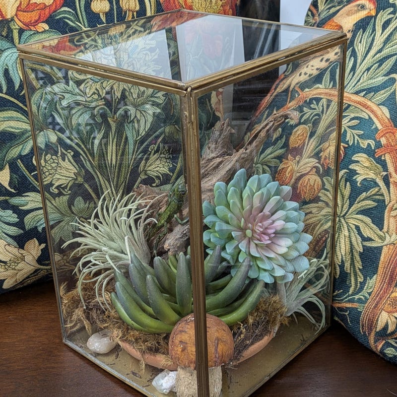 Large Glass Terrarium - Etsy