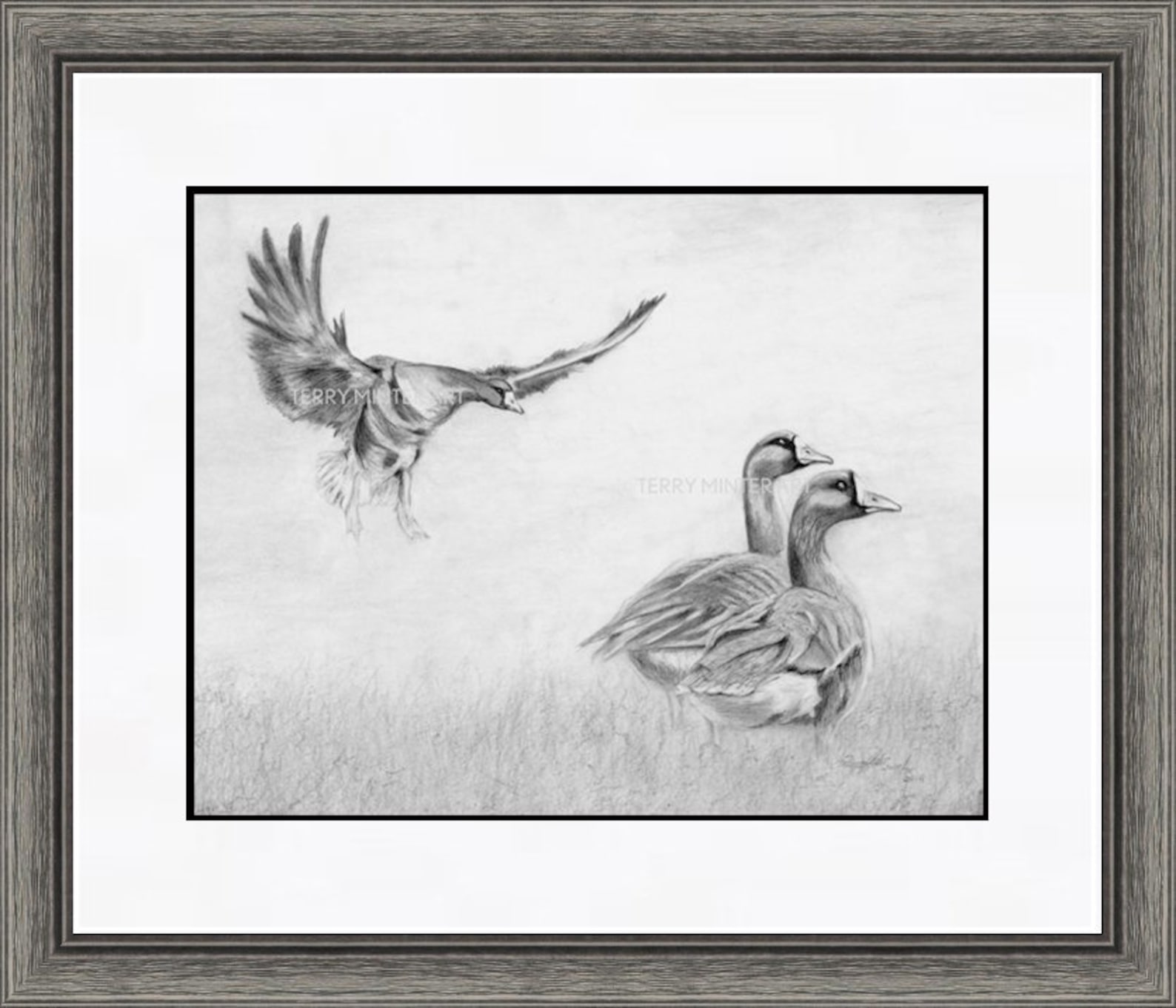 Geese Pencil Art Sketch Print "white Fronted Geese", Waterfowl Pencil ...