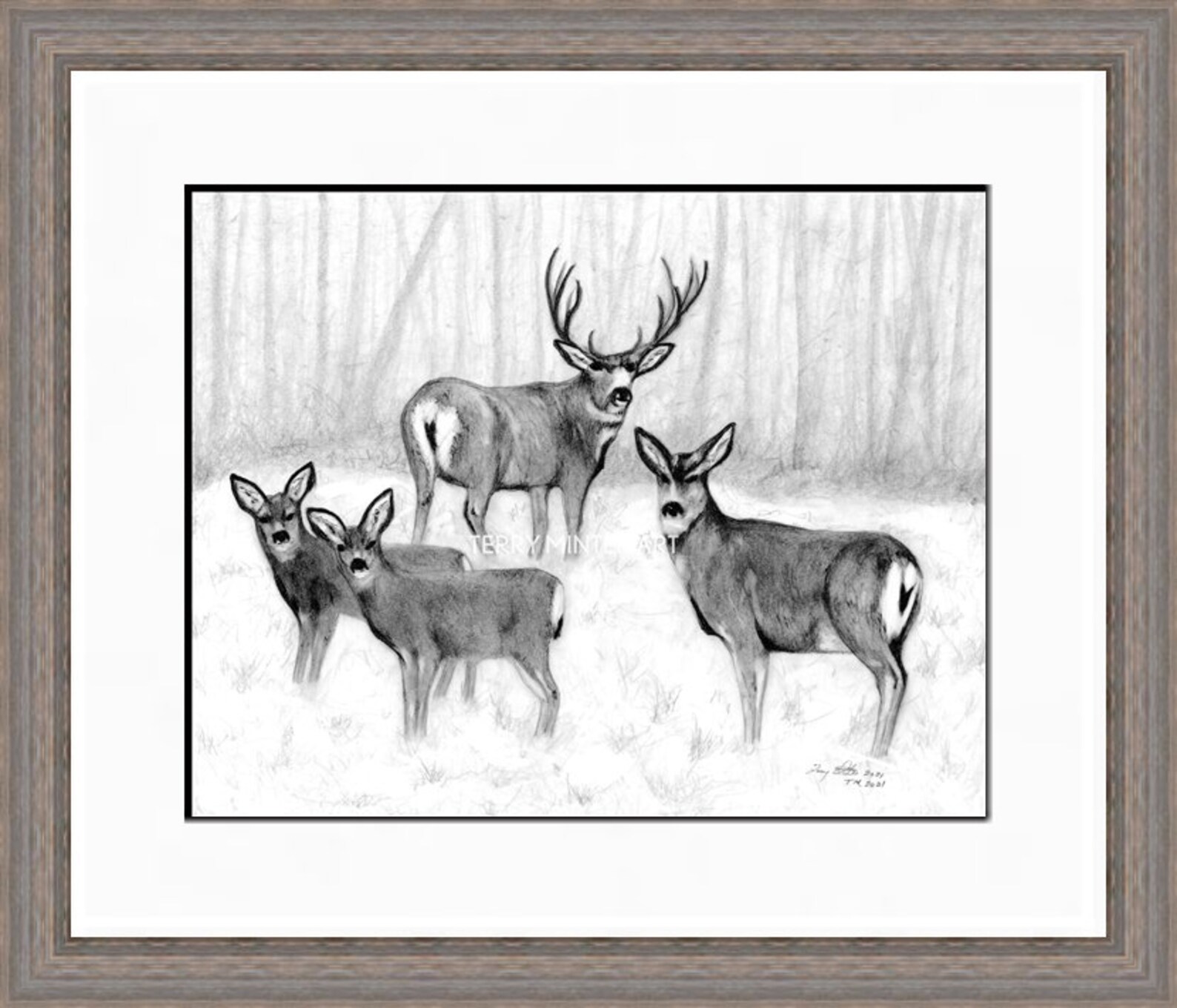 Mule Deer Herd Print, Graphite Pencil Animal Sketch Print, 11" X 14 ...