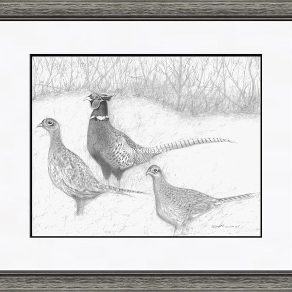 Pheasant Pencil Sketch - Etsy