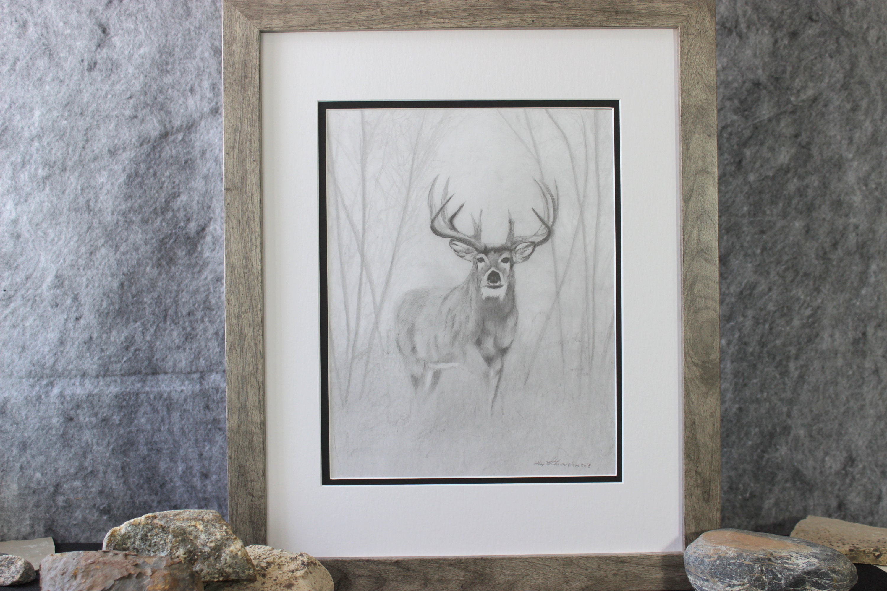 Whitetail Deer Pencil Sketch Print "woodland Buck", Graphite Pencil ...
