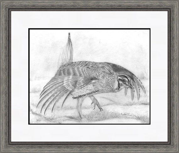 Graphite Pencil Animal Sketch Print sharptail Grouse - Etsy