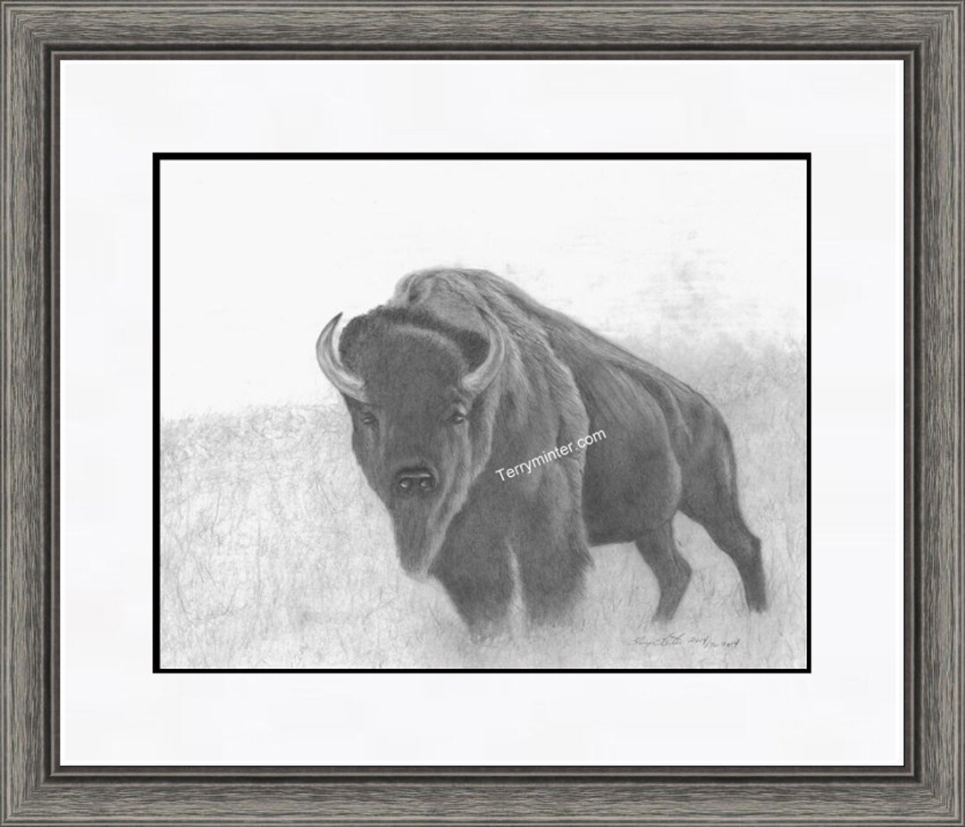 Plains Bison Pencil Print "plains Drifter", Graphite Animal Artist ...