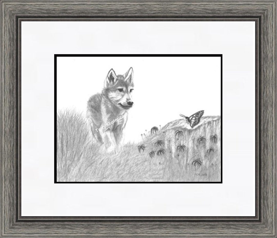 Wolf Cub Pencil Art Sketch Print "curious", Saskatchewan Wildlife Art ...