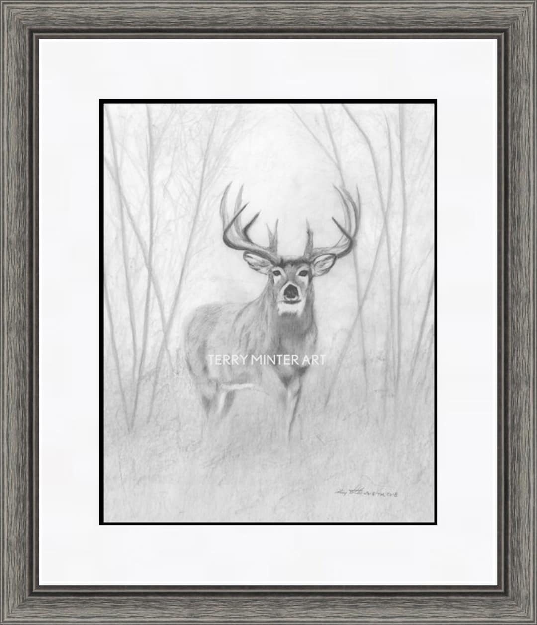 Whitetail Deer Pencil Sketch Print "woodland Buck", Graphite Pencil ...
