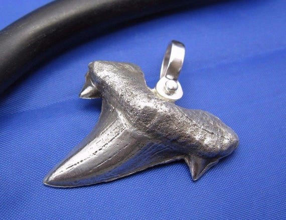 Large Solid .925 Sterling Silver Curved Spiked Shark Tooth - Etsy