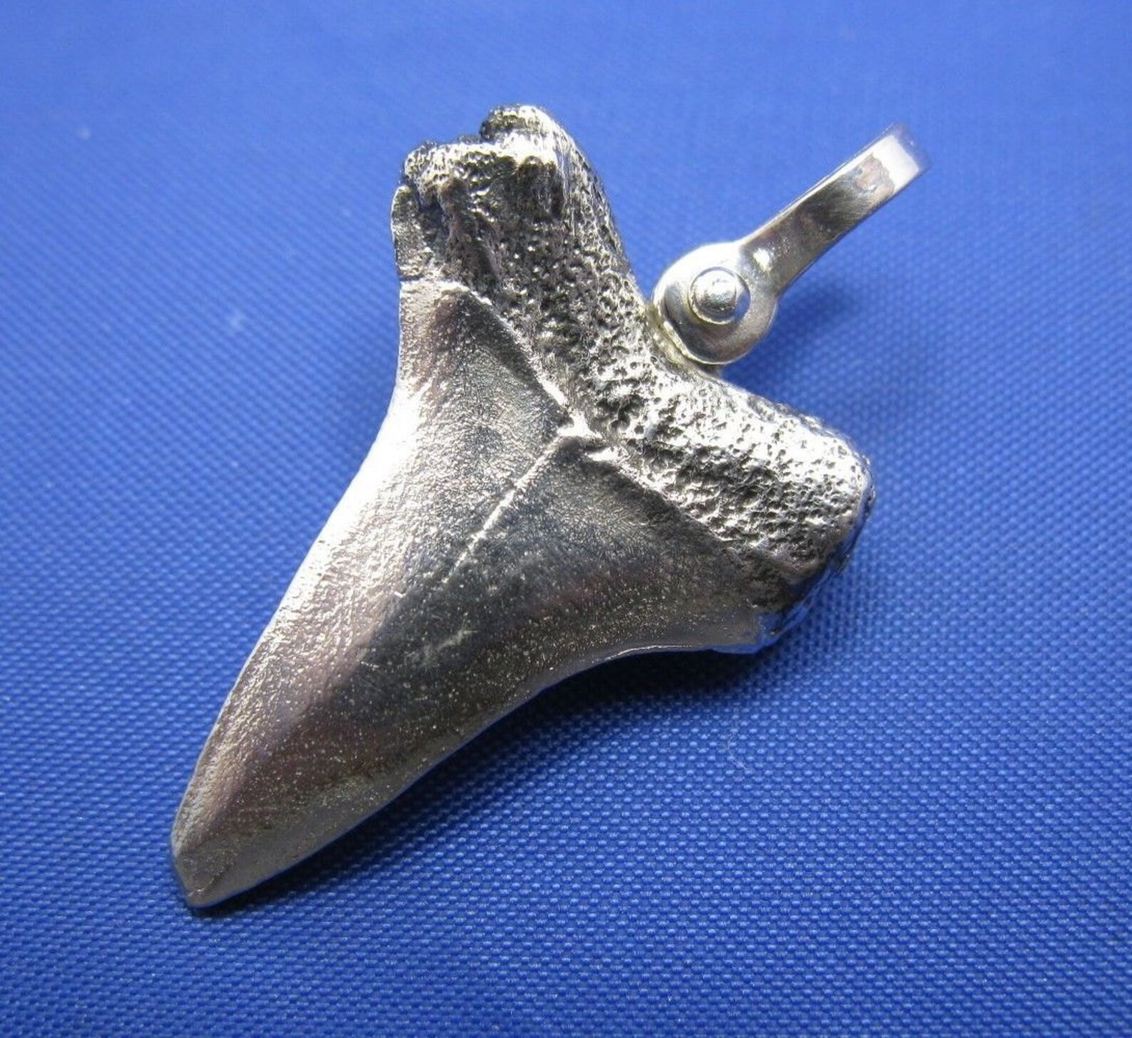 Sterling Silver Shark Tooth Pendant With Nautical Shackle Bail - Etsy