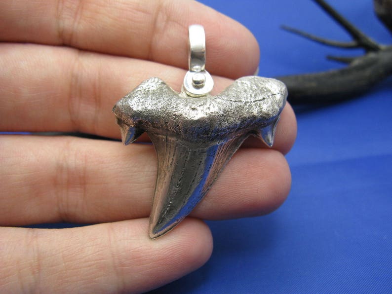 Large Solid .925 Sterling Silver Curved Spiked Shark Tooth - Etsy