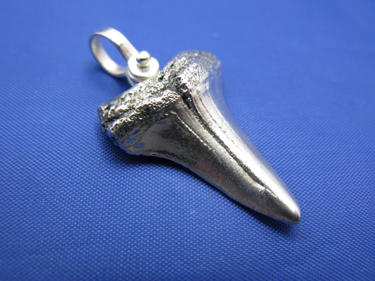 Sterling Silver Shark Tooth Pendant With Nautical Shackle Bail - Etsy
